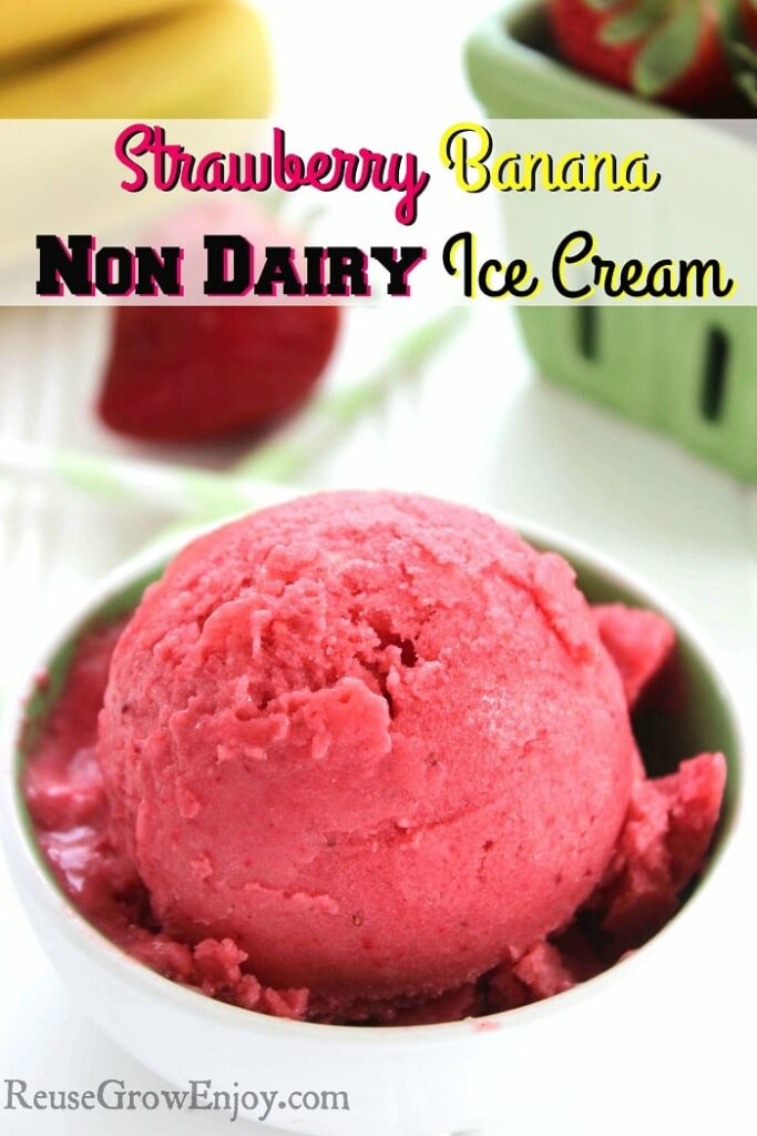 Easy 3 Ingredient Ice Cream Recipes No Churn