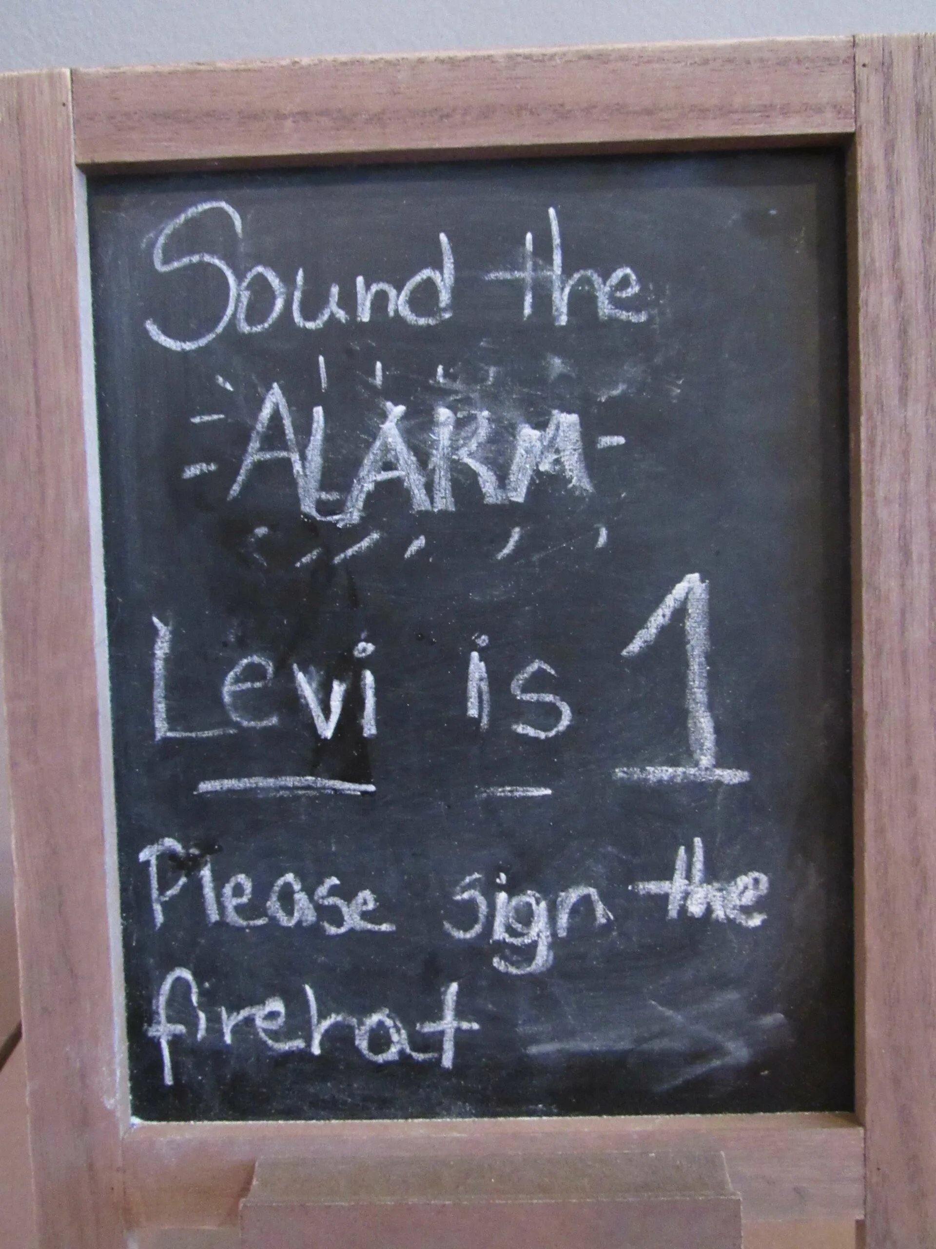 1st Birthday Party Decorations (For Girl and Boy)