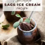 Chocolate Sage Ice Cream Recipe