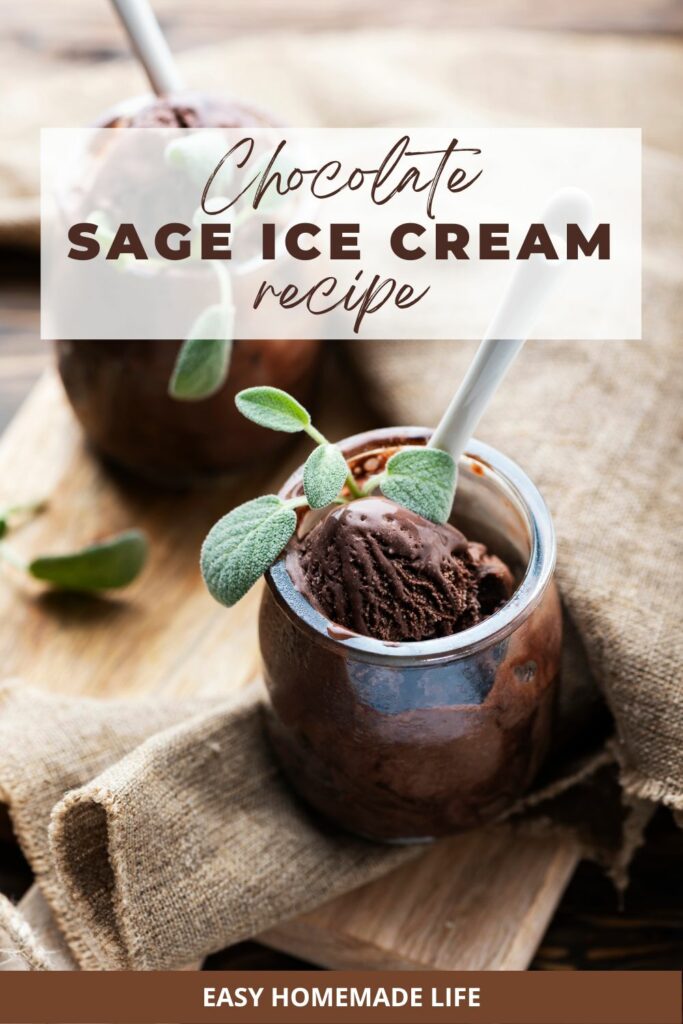 Chocolate Sage Ice Cream Recipe