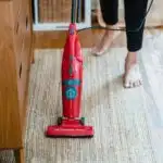 How to Vacuum Ants Out of Carpet - the Easy Way