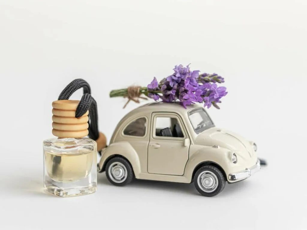 Best Aromatherapy Essential Oil Diffusers For Your Car