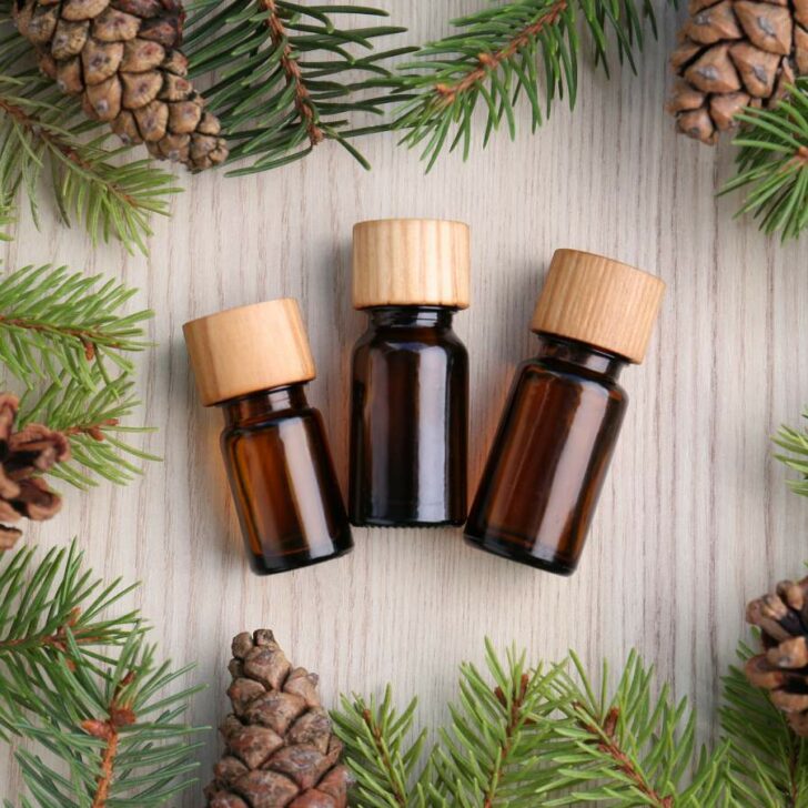 Pinetastic: 10 Pine Diffuser Blends To Try