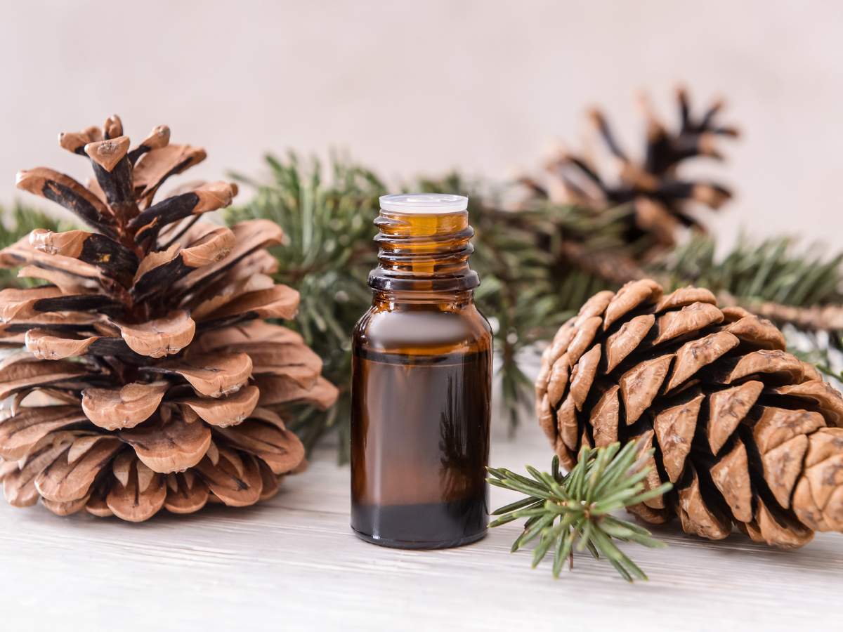 Pinetastic: 10 Pine Diffuser Blends To Try