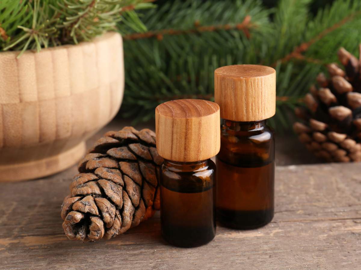 Pinetastic: 10 Pine Diffuser Blends To Try
