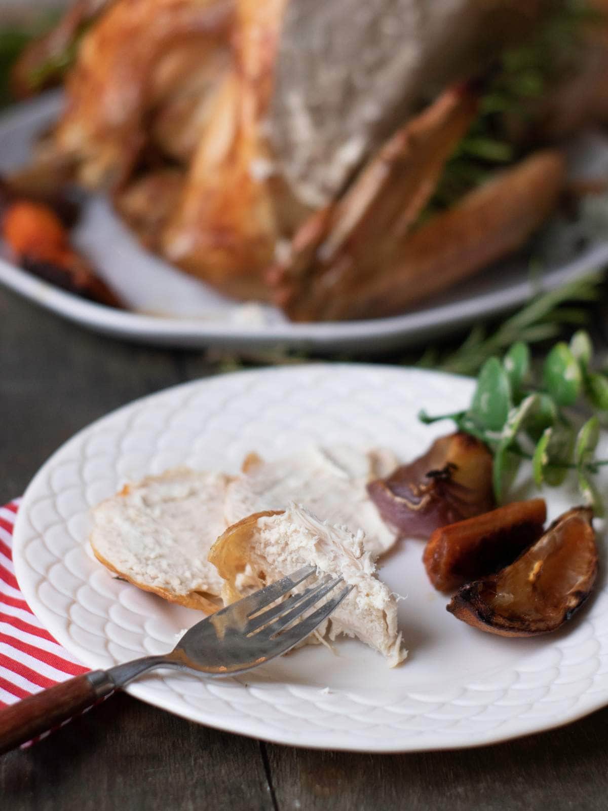 Roasted Turkey Made Easy For Beginners