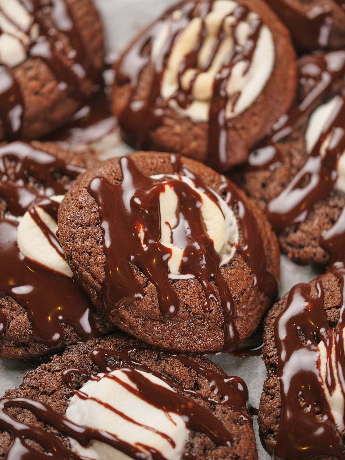 Hot Chocolate Cookies Recipe